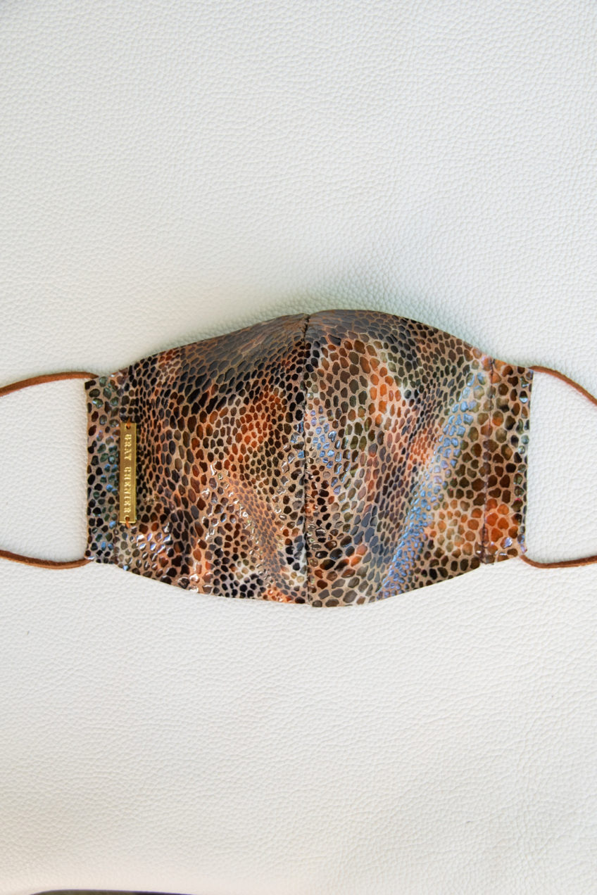 Python Mask – Graychenier